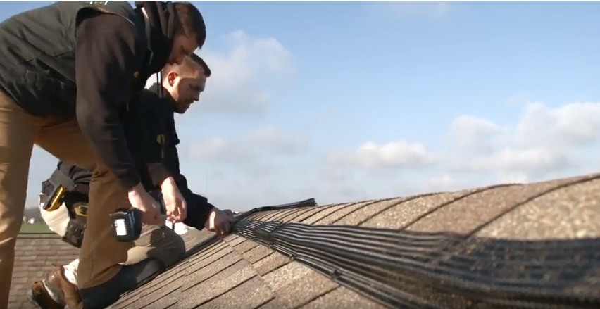 Groundhog Removal & Control | Wildthings Wildlife